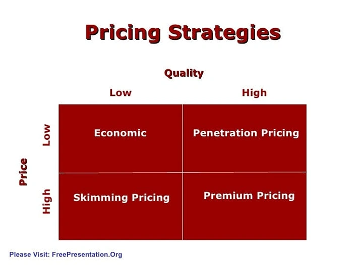 Economic Pricing Strategy: Definition, Examples & How It Works